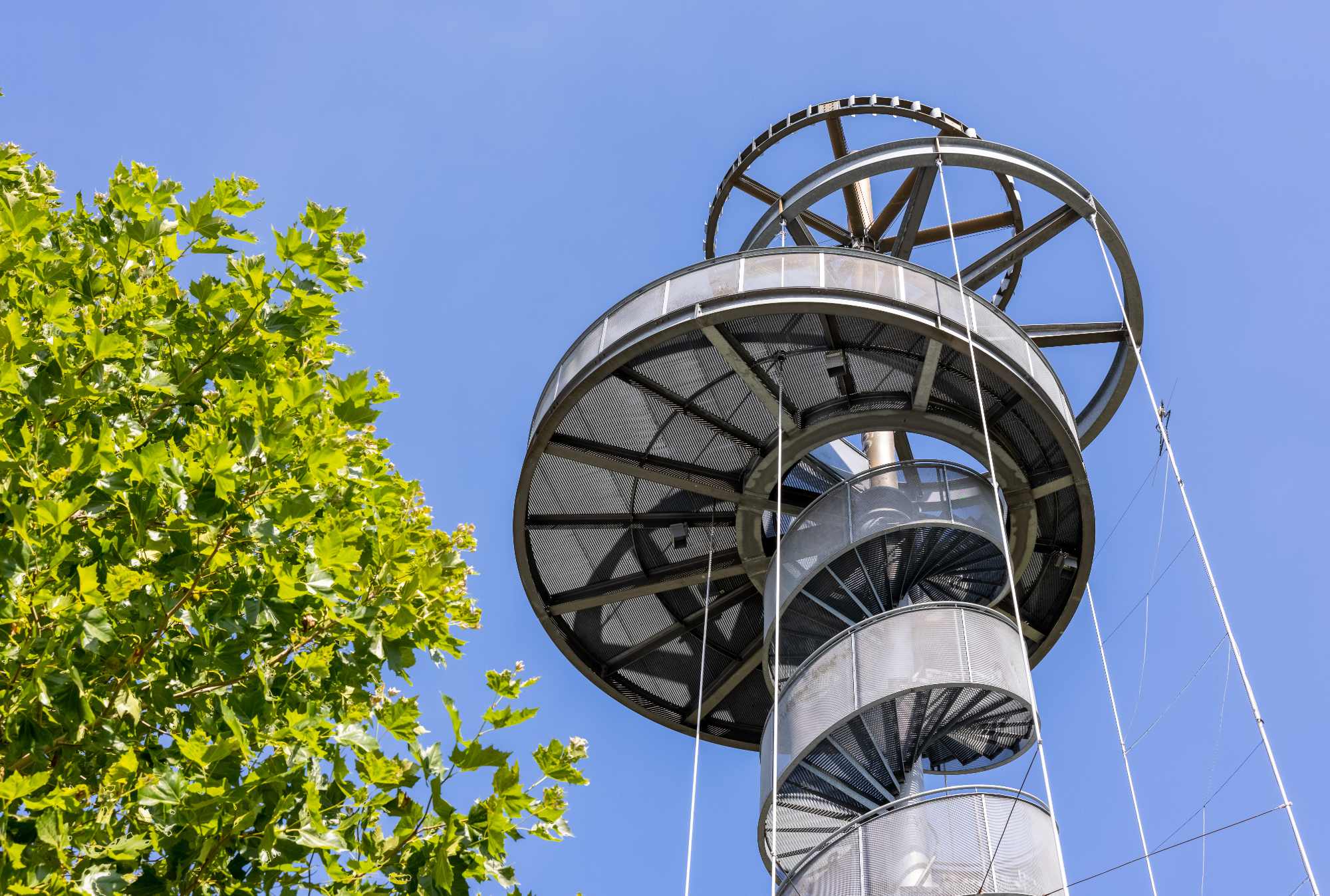 plazy | Rhein-Main-Gebiet | Details | Aussichtsturm am Wingertberg