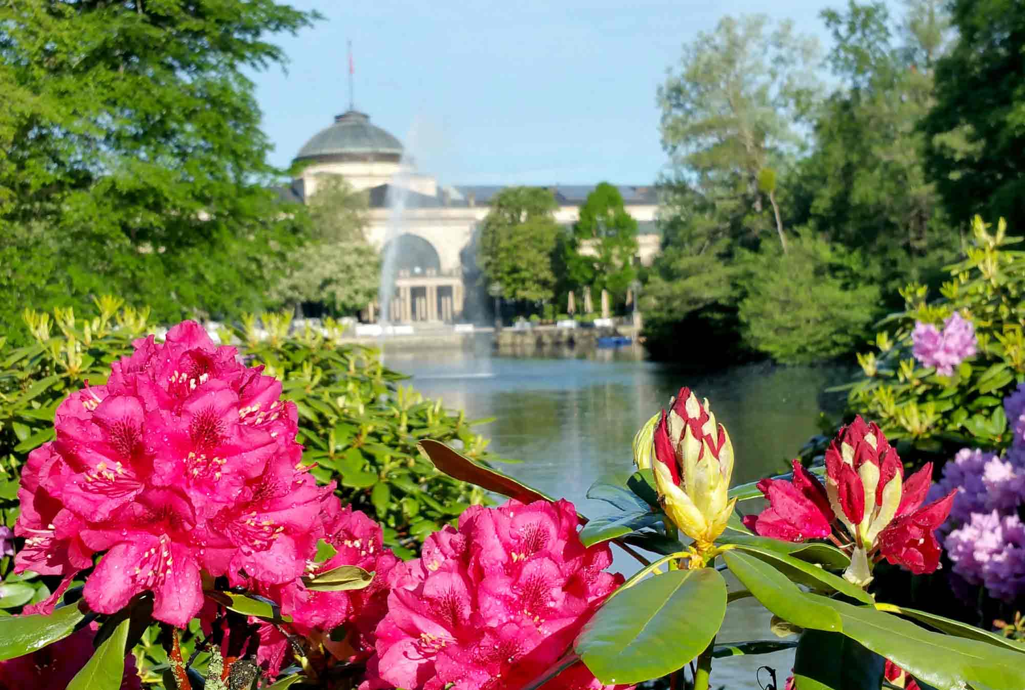 plazy | Wiesbaden | Details | Kurpark