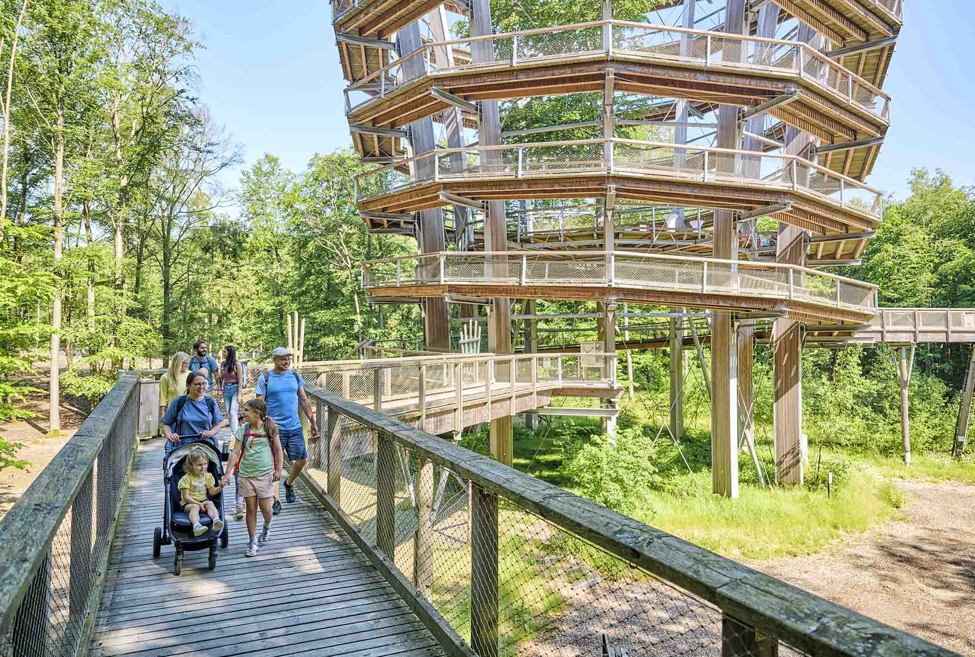 plazy | Franken | Details | Steigerwald