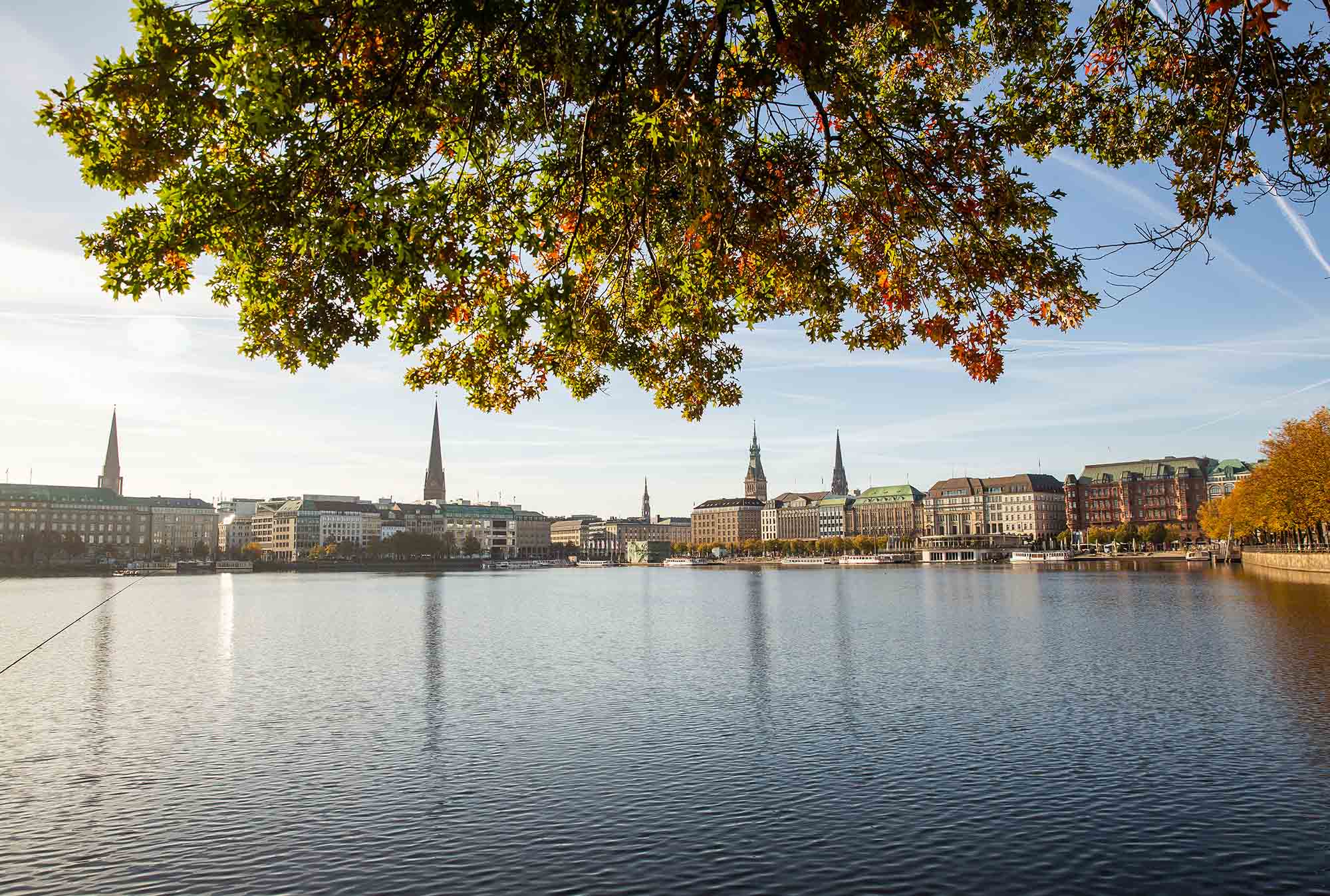 Hamburg nachhaltig entdecken: Was du wissen solltest | plazy