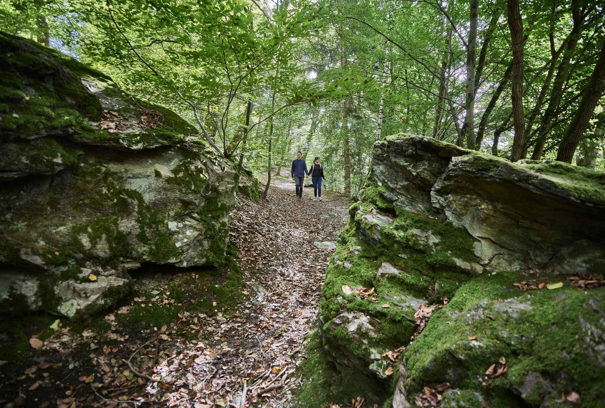 15 Orte, um den Rheingau nachhaltig zu entdecken | plazy