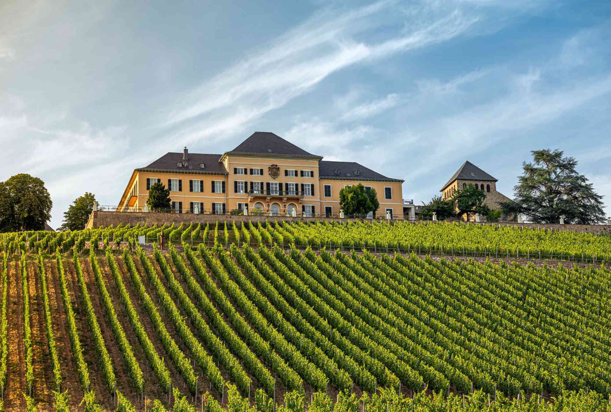 plazy | Rheingau | Details | Schloss Johannisberg